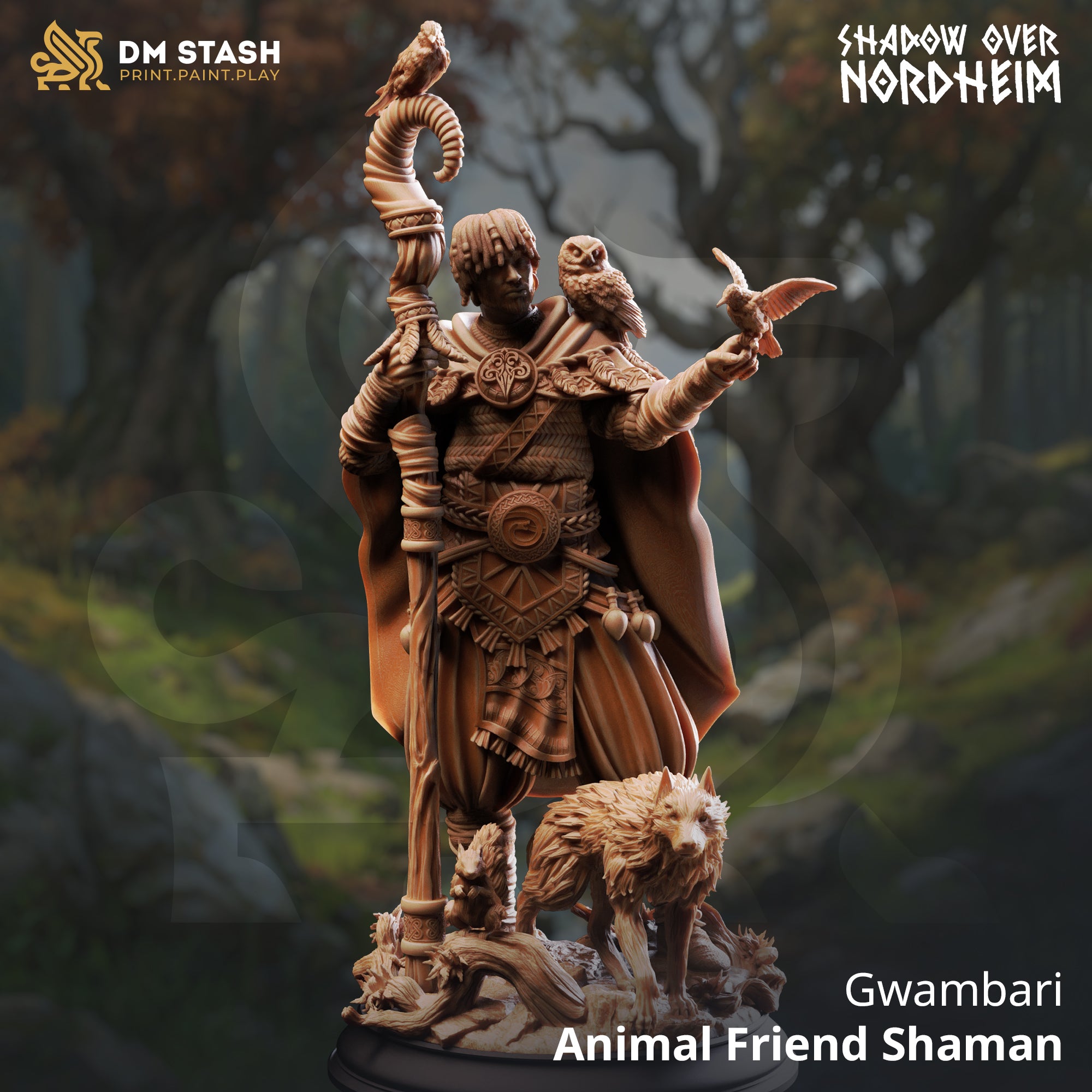 Gwambari, Animal Friend Shaman (Male Human Beastmaster) – All Systems ...
